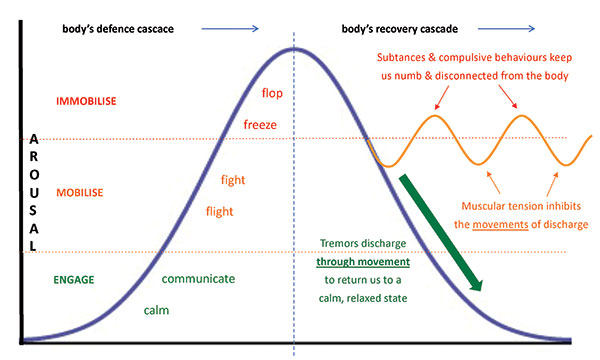 Introducing Trauma and Tension Release Exercises (TRE) to support staff ...